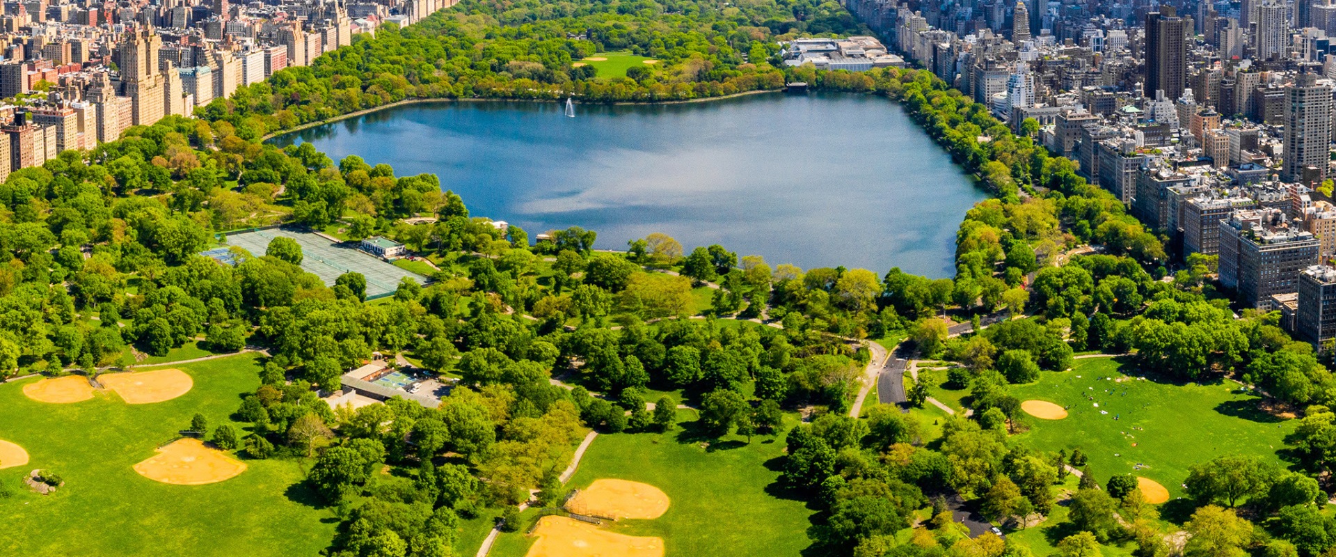 The Ultimate Guide to Exploring the Best Local Activities in New York City